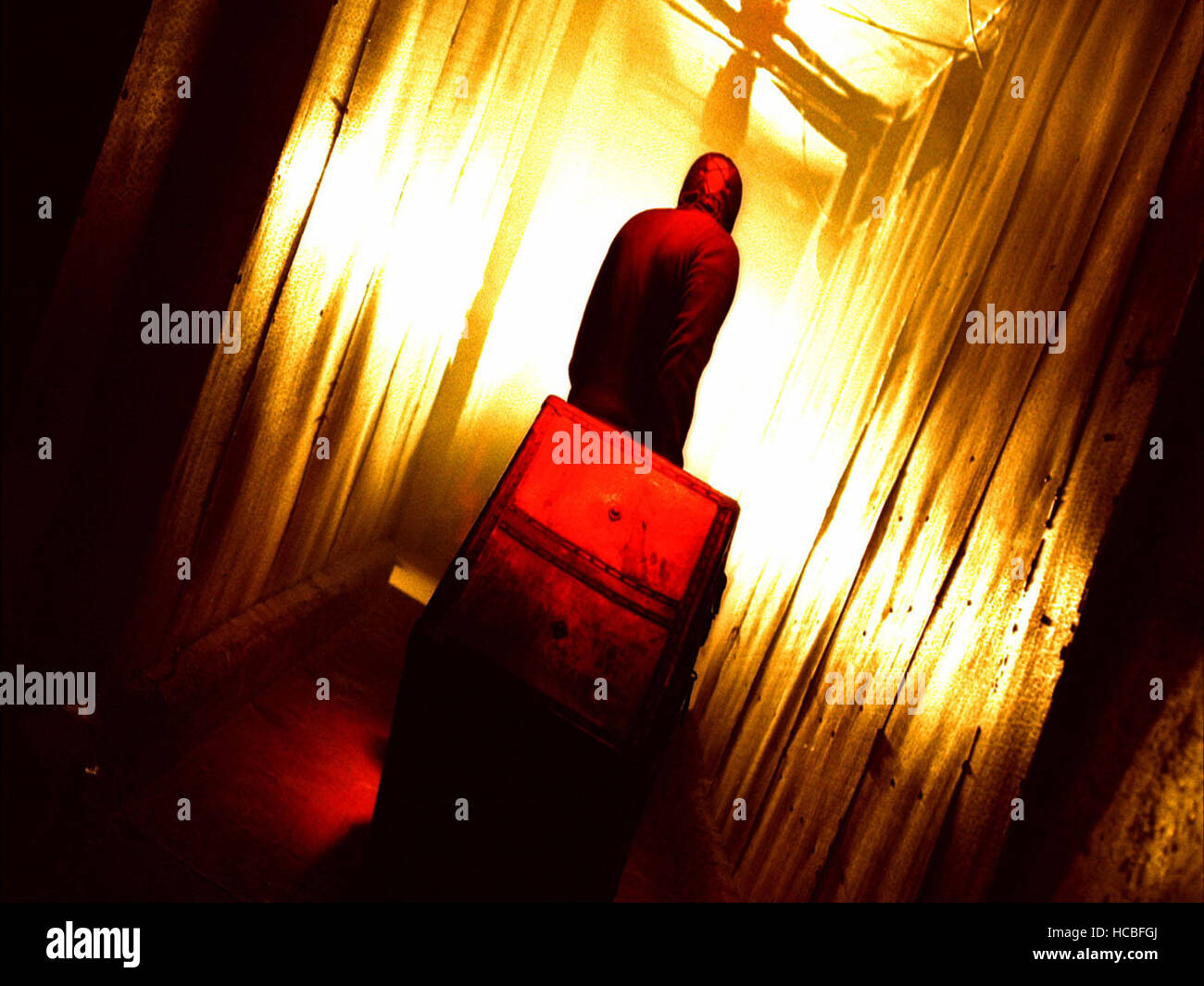 THE COLLECTOR, 2009. ©Freestyle Releasing/Courtesy Everett Collection ...