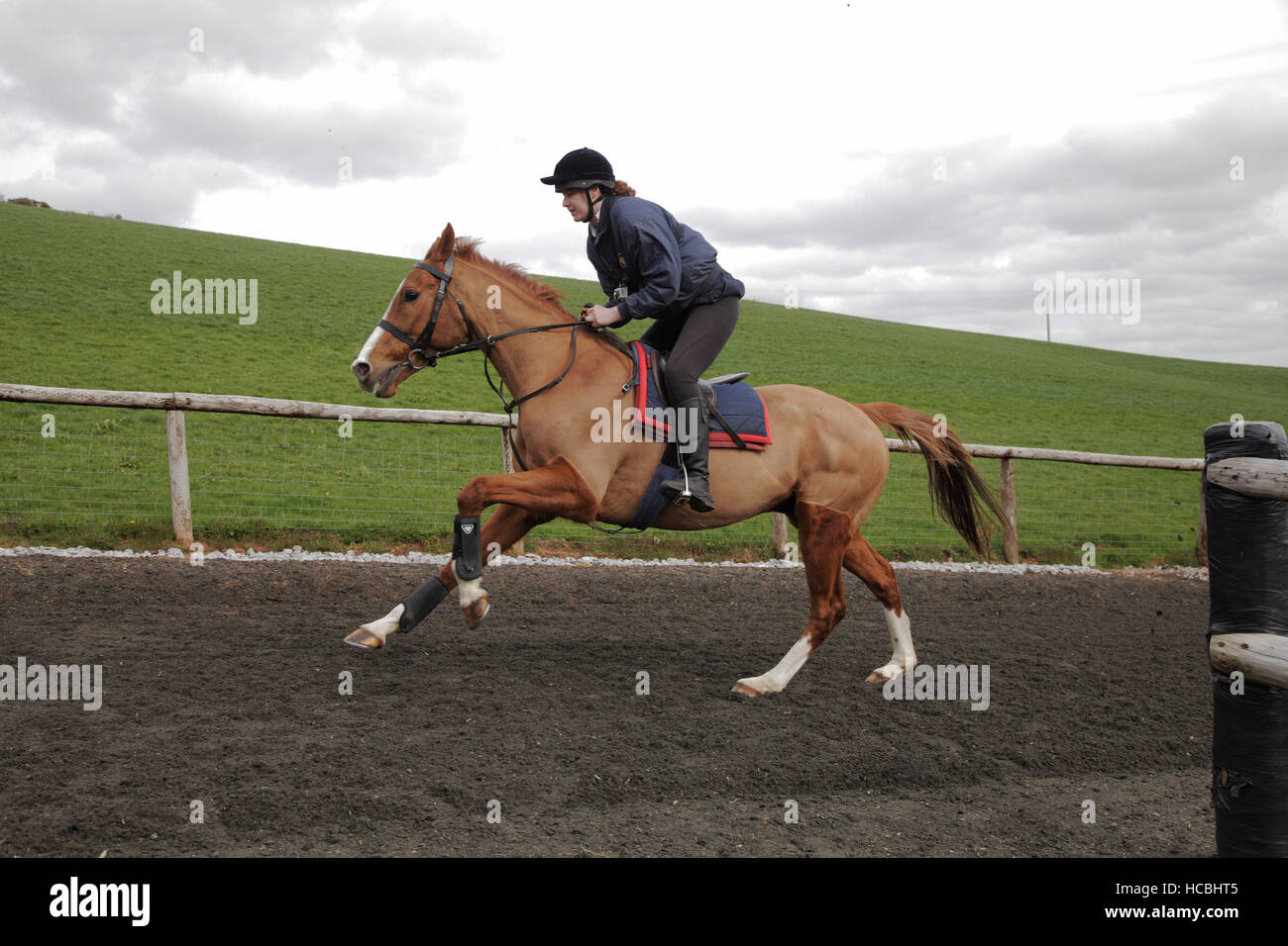 DARK HORSE, Clare S riding Dream, 2015. ©Sony Pictures Classics ...