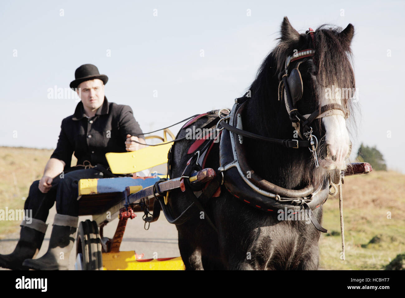 DARK HORSE, James Adams, 2015. ©Sony Pictures Classics/courtesy Everett ...