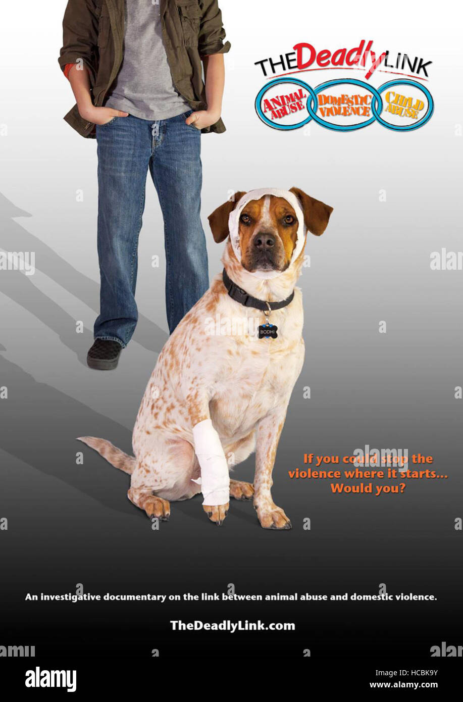 THE DEADLY LINK, poster art, 2015 Stock Photo - Alamy