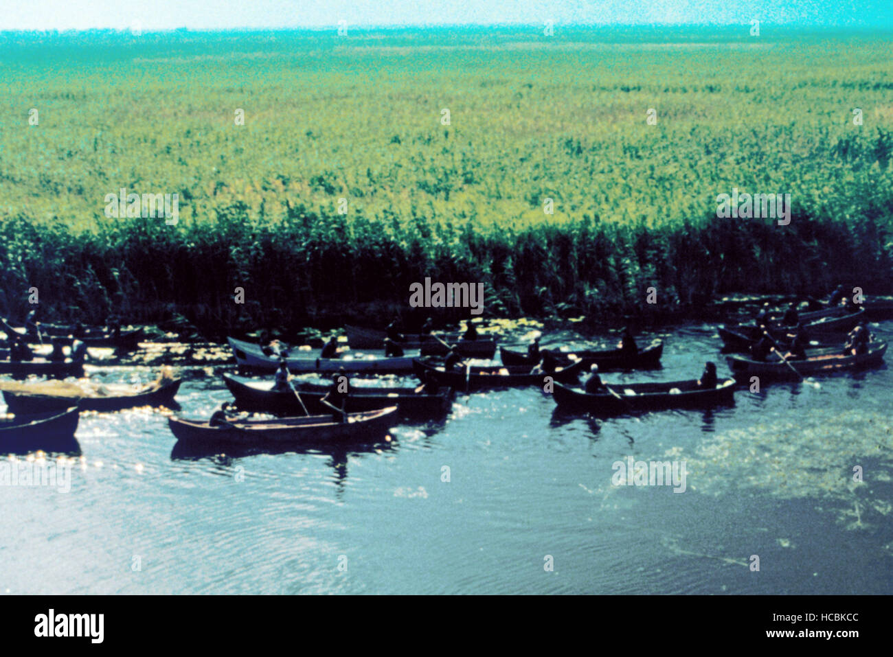 DELTA, 2008. ©Coproduction Office/Courtesy Everett Collection Stock ...