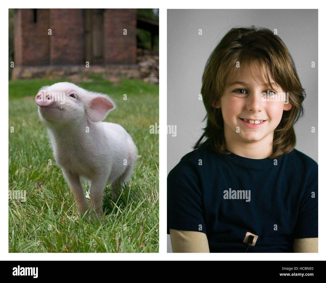 CHARLOTTE'S WEB, Wilbur, Dominic Scott Kay (voice), 2006. ©Paramount ...