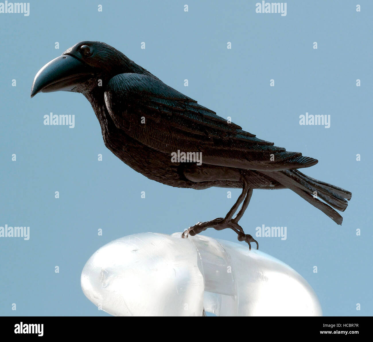 THE CORPSE BRIDE, 2005, (c) Warner Brothers/courtesy Everett Collection ...