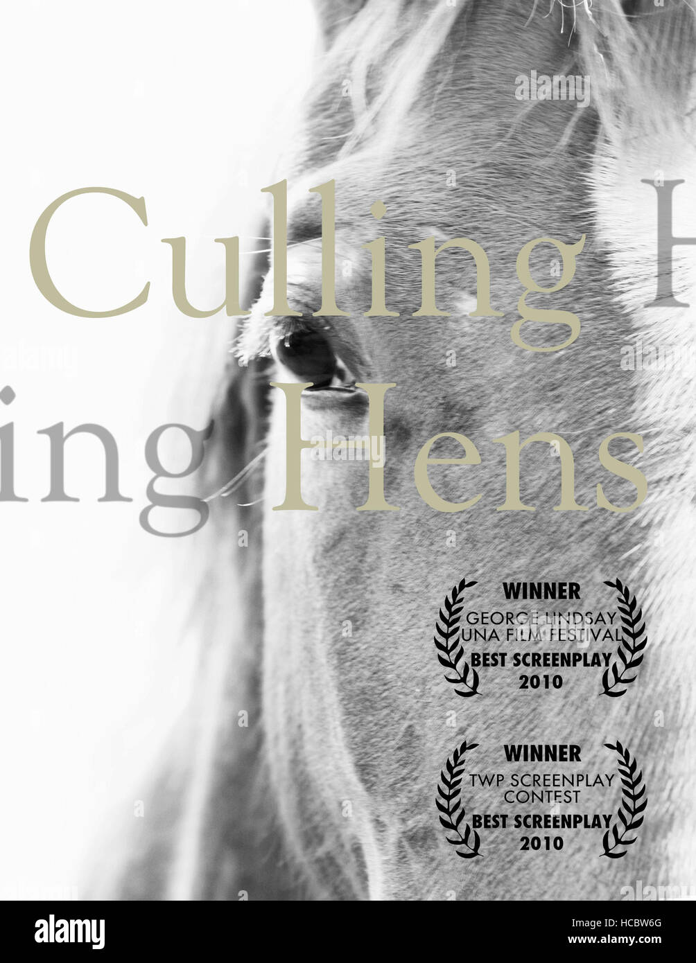 CULLING HENS, international poster art, 2013, ©Jarvis Films/courtesy ...