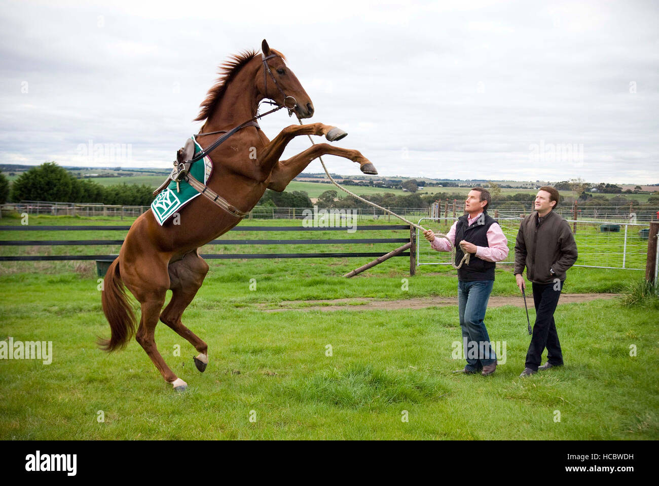 THE CUP, Stephen Curry (right), 2011. ©Myriad Pictures/Courtesy Everett ...