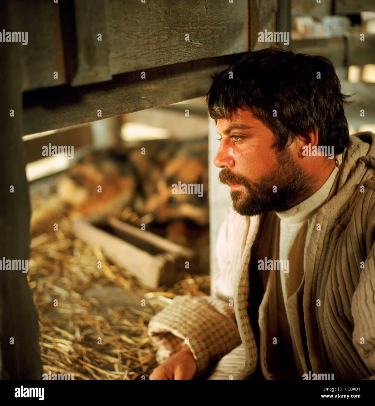 DAYS OF FURY, (aka ONE RUSSIAN SUMMER), Oliver Reed, 1973 Stock Photo ...