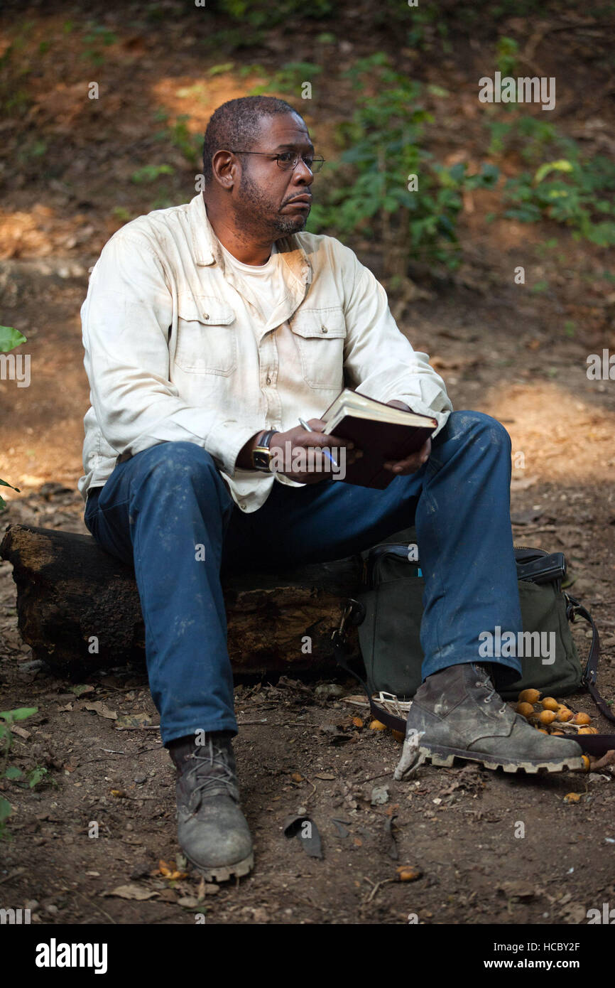 A DARK TRUTH, (aka THE TRUTH), Forest Whitaker, 2012. ©Magnolia ...