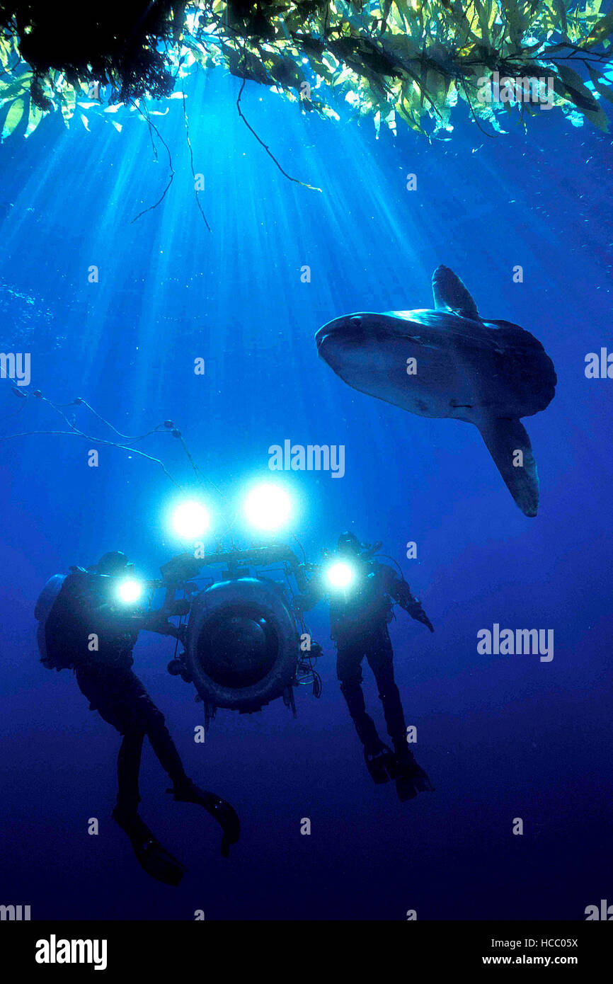 DEEP SEA 3D, Howard Hall, Bob Cranston, 2006, (c) Warner Brothers ...