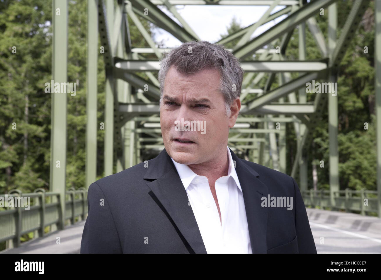THE DETAILS, Ray Liotta, 2011. ©Weinstein Company/Courtesy Everett ...