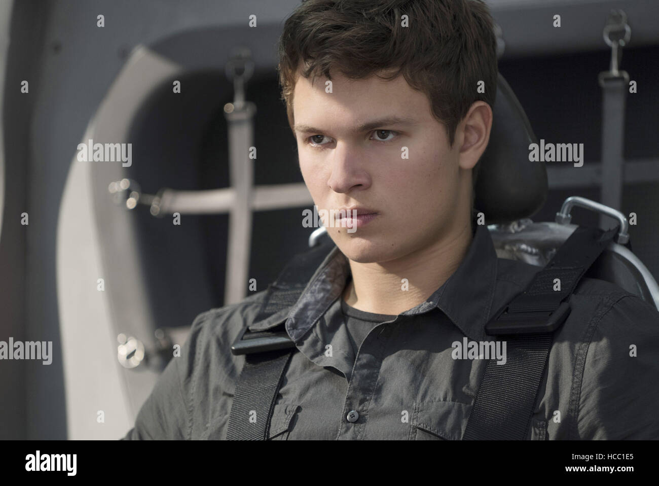 ALLEGIANT, (aka THE DIVERGENT SAGA: ALLEGIANT - PART 1), Ansel Elgort ...