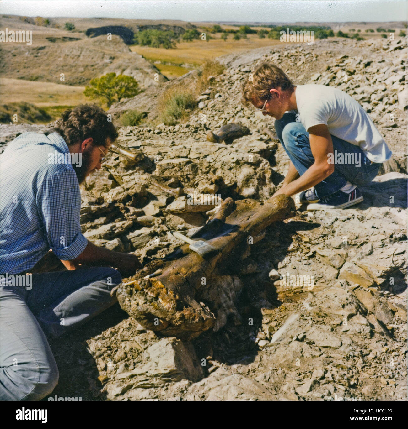 DINOSAUR 13, (aka DINOSAUR THIRTEEN), from left: Bob Farrar, Peter ...