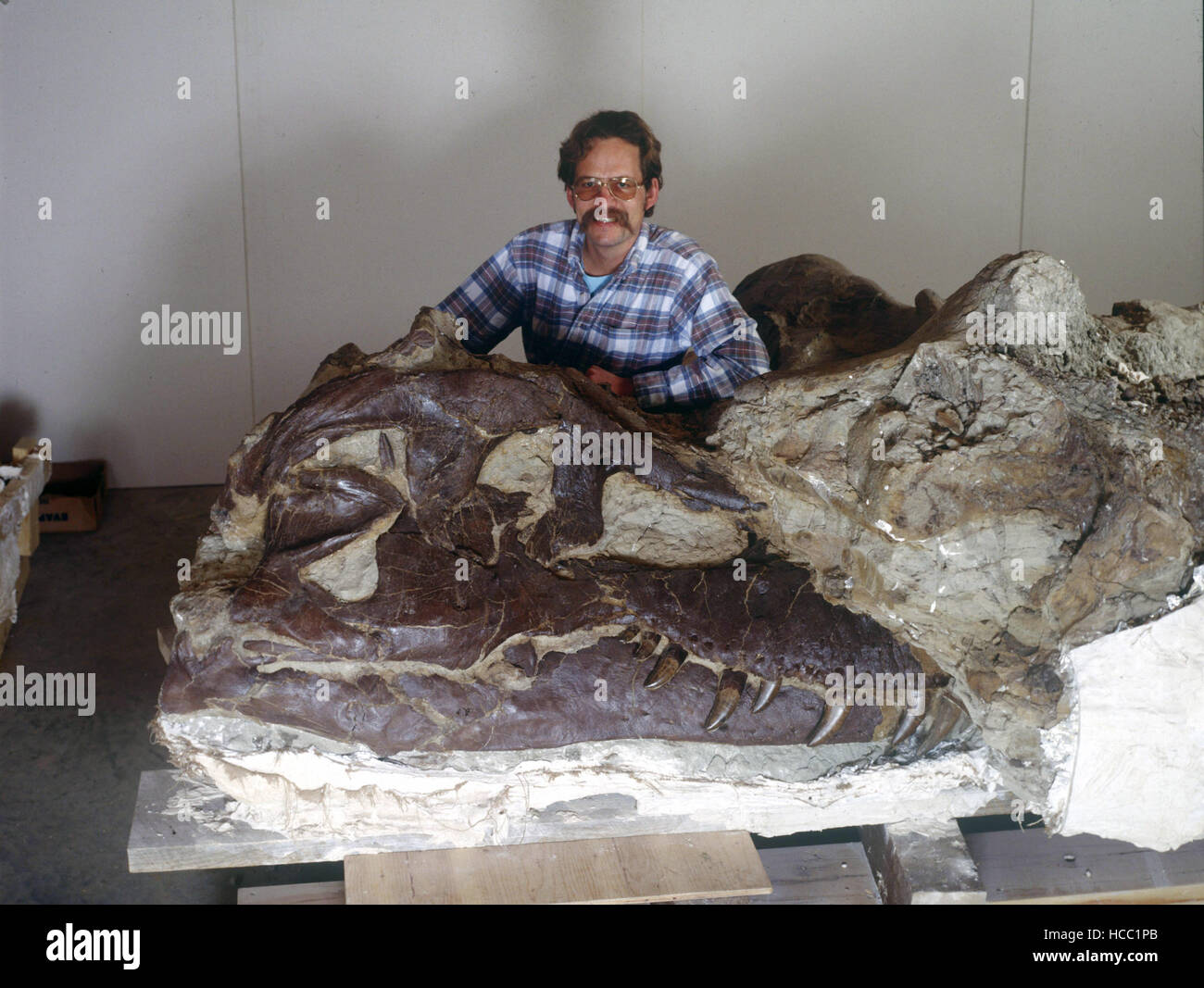 DINOSAUR 13, (aka DINOSAUR THIRTEEN), Peter Larson, 2014. ©Lionsgate ...