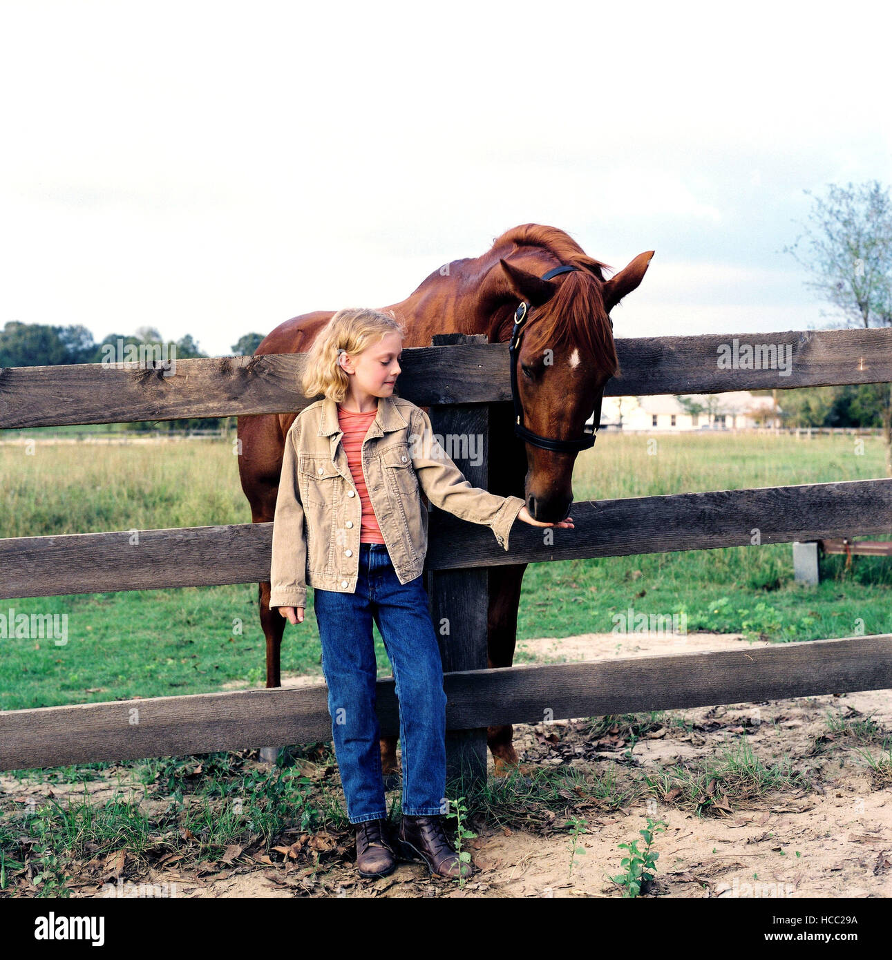 DREAMER:INSPIRED BY A TRUE STORY, Dakota Fanning, 2005, (c) DreamWorks ...