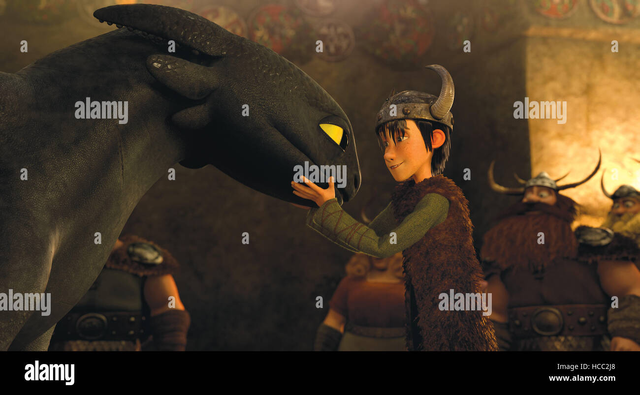 Gift Of The Night Fury Hiccup