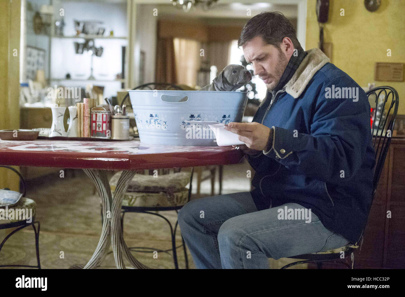 THE DROP, Tom Hardy, 2014. ph: Barry Wetcher/TM & copyright ©Fox ...