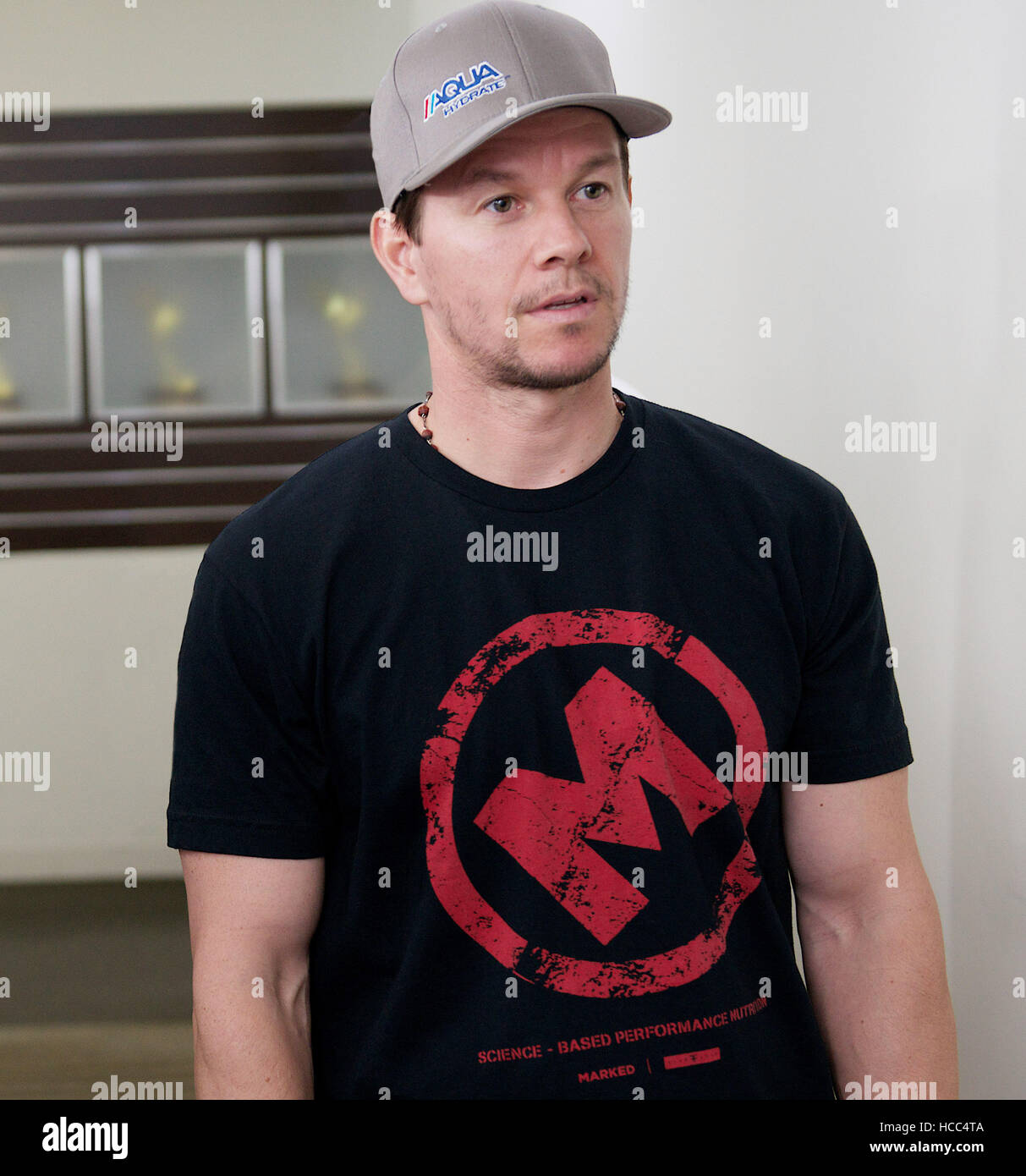 ENTOURAGE, Mark Wahlberg, 2015. ph: Claudette Barius/©Warner Bros ...