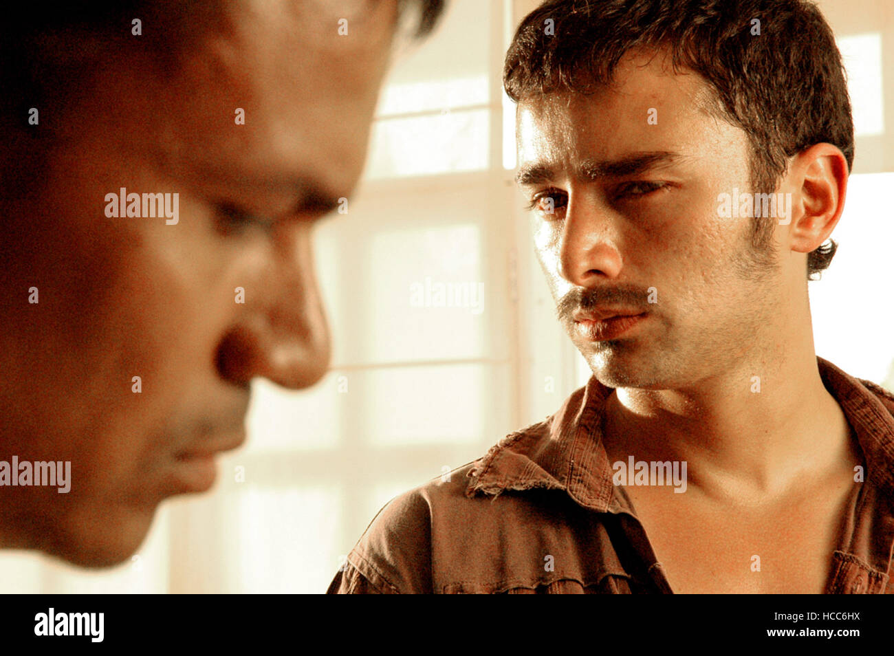 DOG EAT DOG, (aka PERRO COME PERRO), 2008. ©IFC Films/Courtesy Everett ...