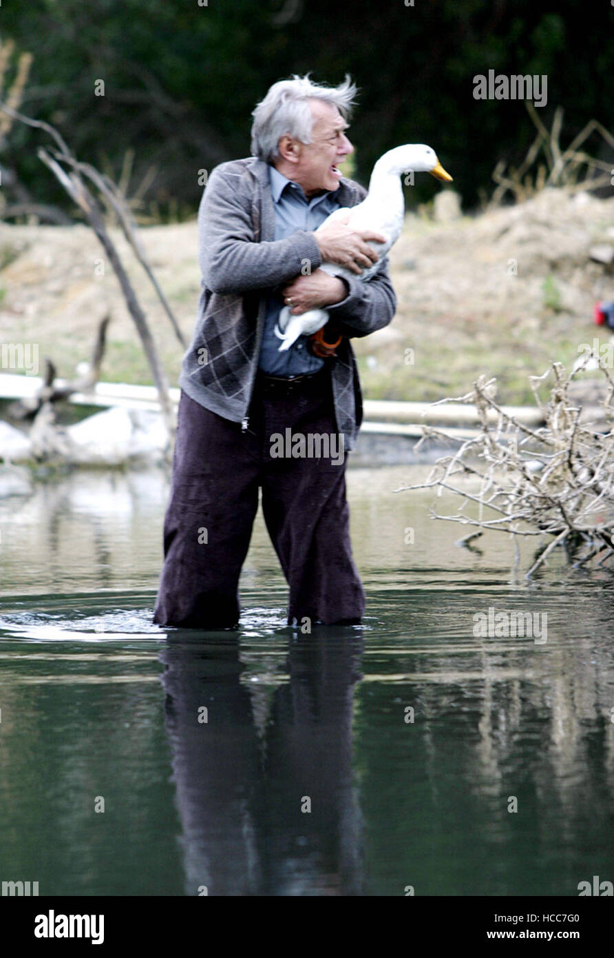 DUCK, Philip Baker Hall, 2005. ©Right Brain Releasing/Courtesy Everett ...