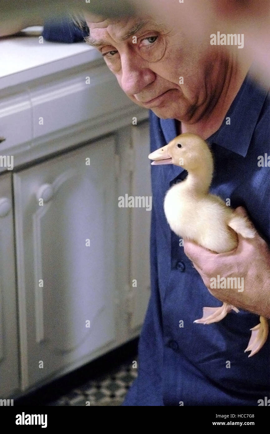 DUCK, Philip Baker Hall, 2005. ©Right Brain Releasing/Courtesy Everett ...