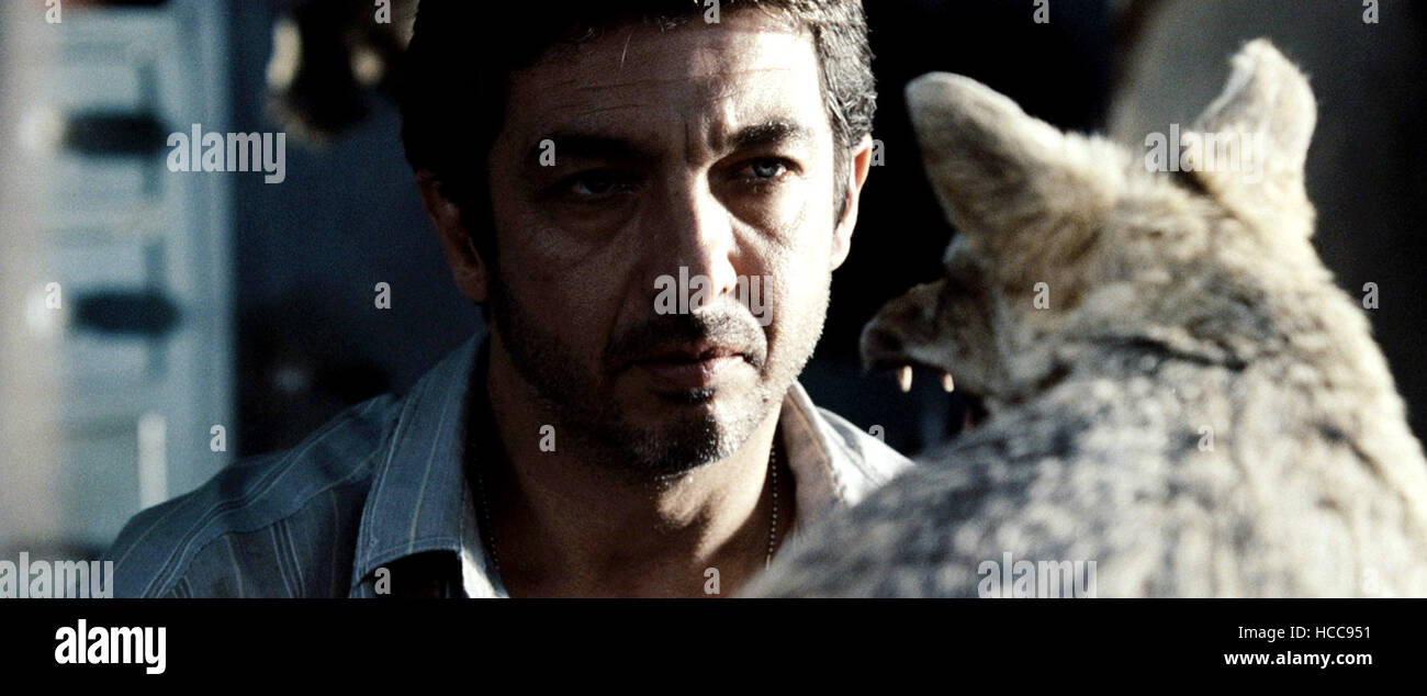 EL AURA, Ricardo Darin, 2005, (c) IFC First Take / Courtesy: Everett ...