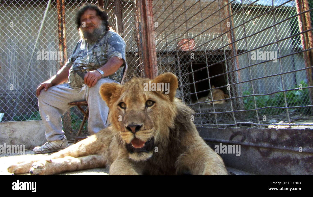 THE ELEPHANT IN THE LIVING ROOM, Terry Brumfield, 2010, ph: Michael ...