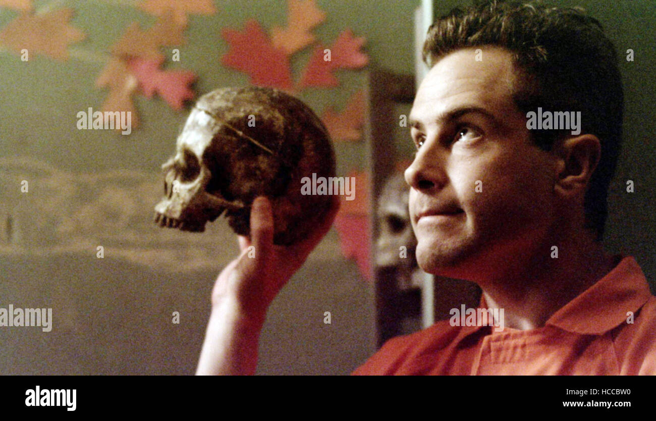 THE FALL, Peter Cilella, 2008. ©Dangerous Wounded Animals/Courtesy ...