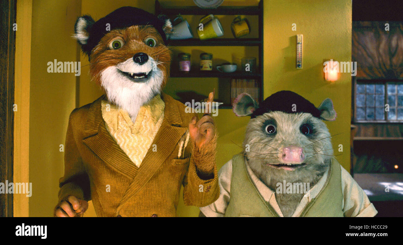 FANTASTIC MR. FOX, from left: Mr. Fox (voice: George Clooney), Kylie ...