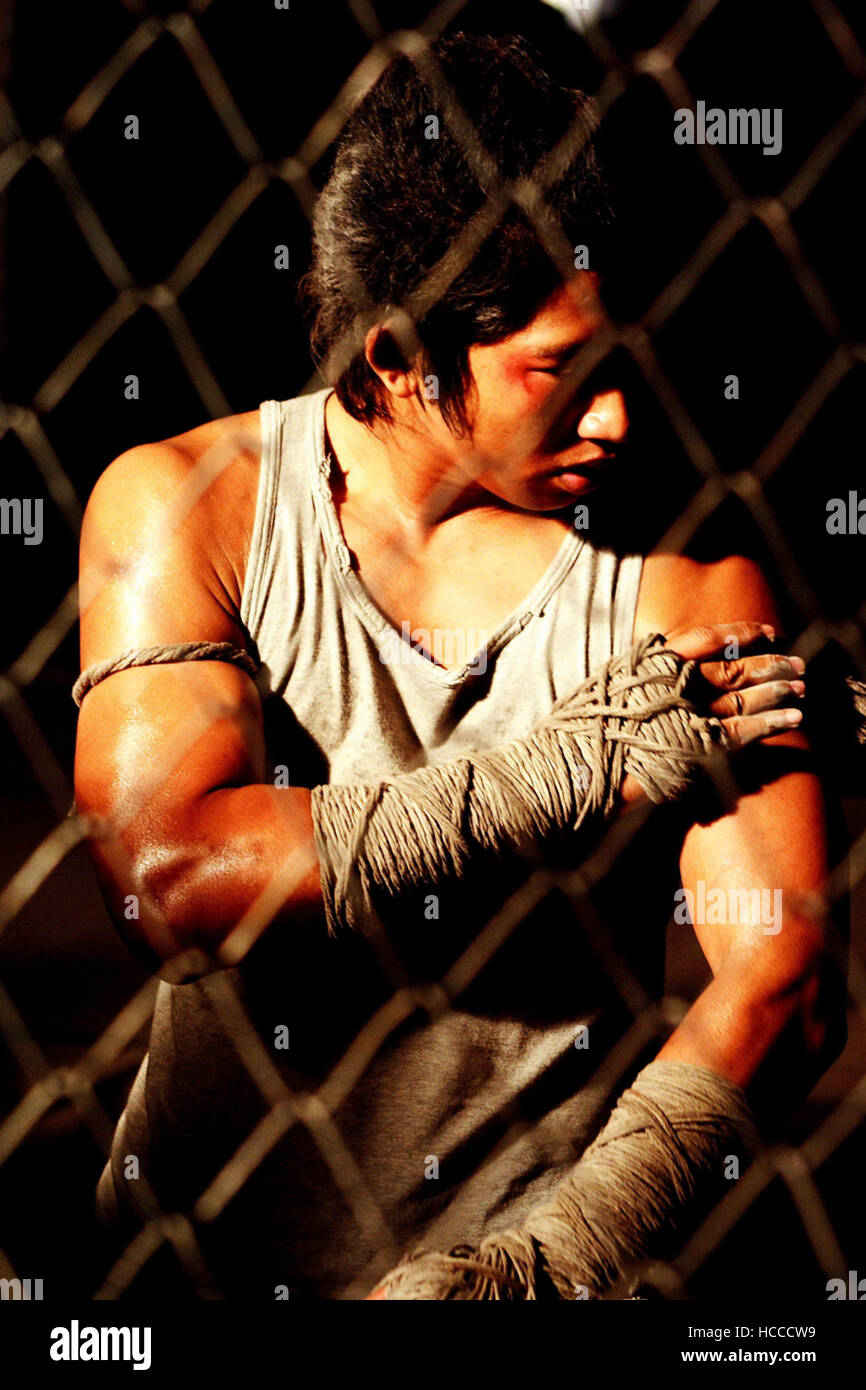 9 million sam hi-res stock photography and images - Alamy