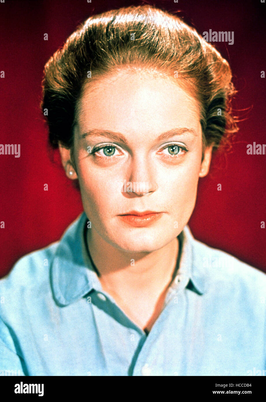 THE FIXER, Elizabeth Hartman, 1968 Stock Photo - Alamy