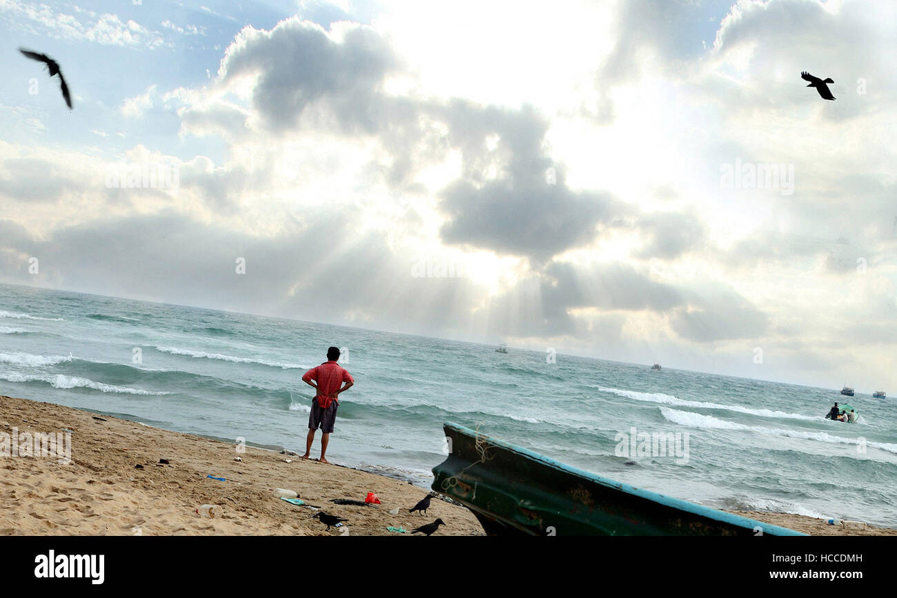 Gayesha Perera Flying Fish