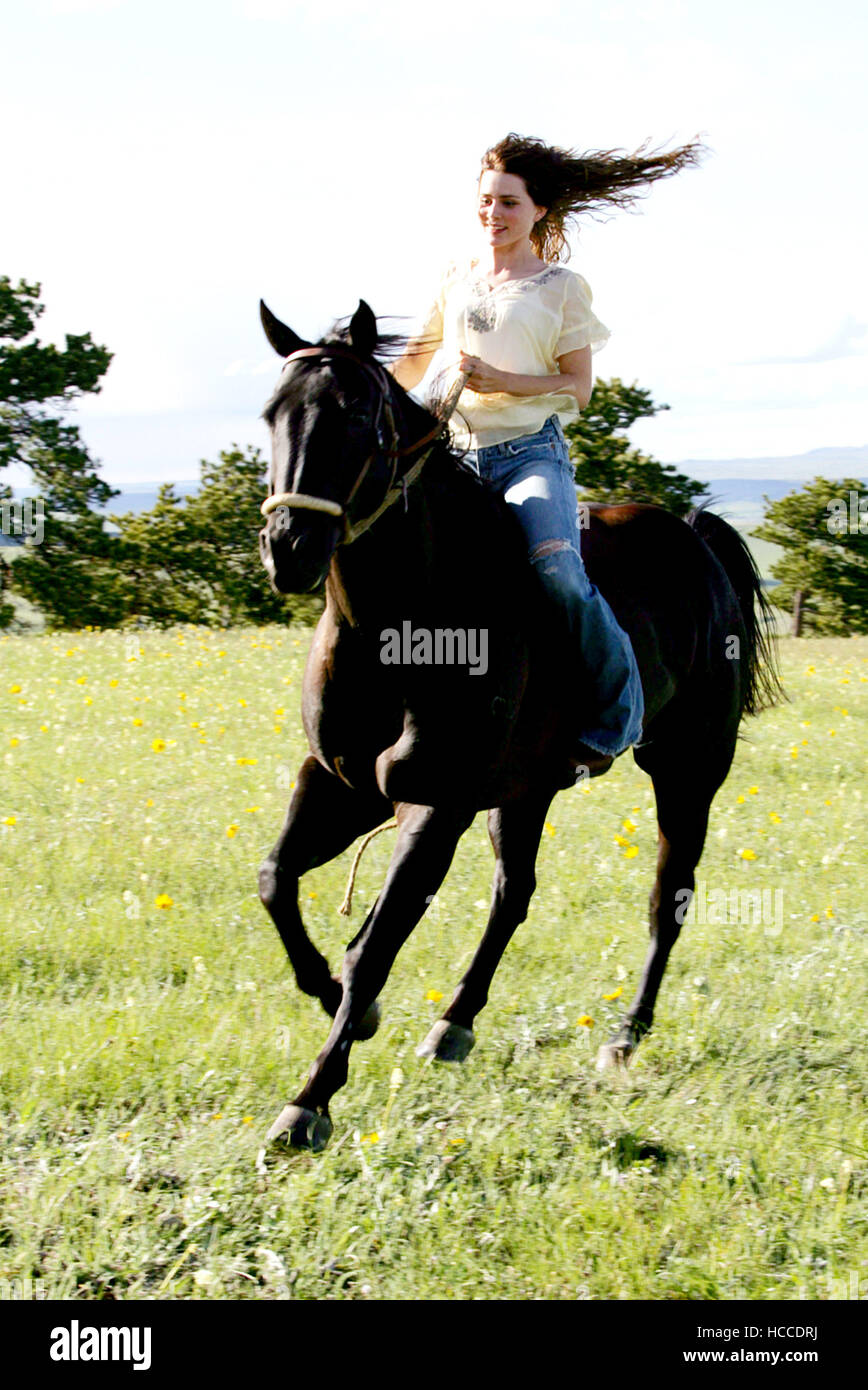 FLICKA, Alison Lohman, 2006, TM & Copyright (c) 20th Century Fox Film ...