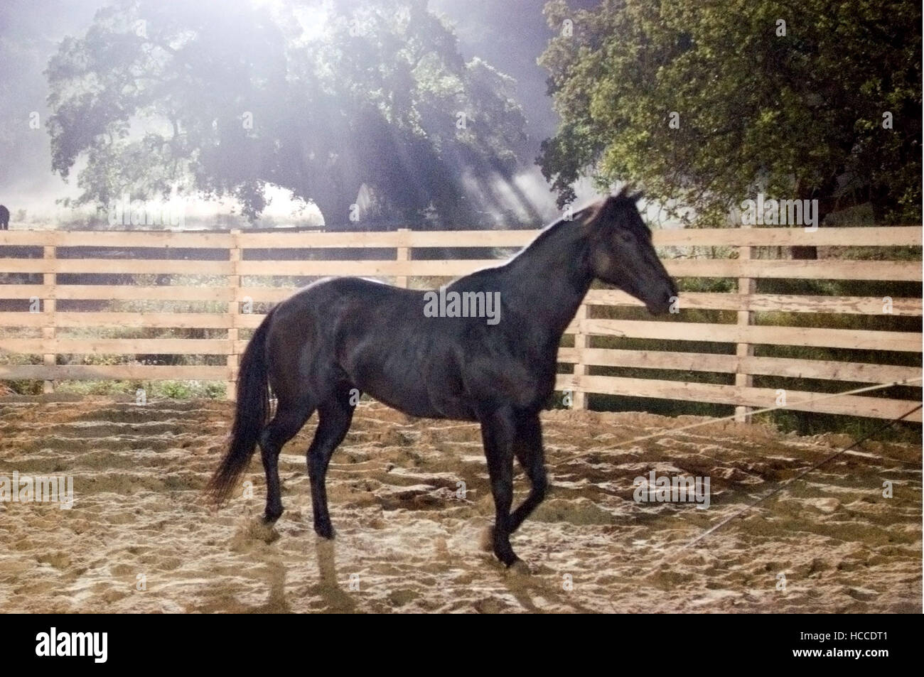 FLICKA, 2006. TM & Copyright (c) 20th Century Fox Film Corp. All rights ...