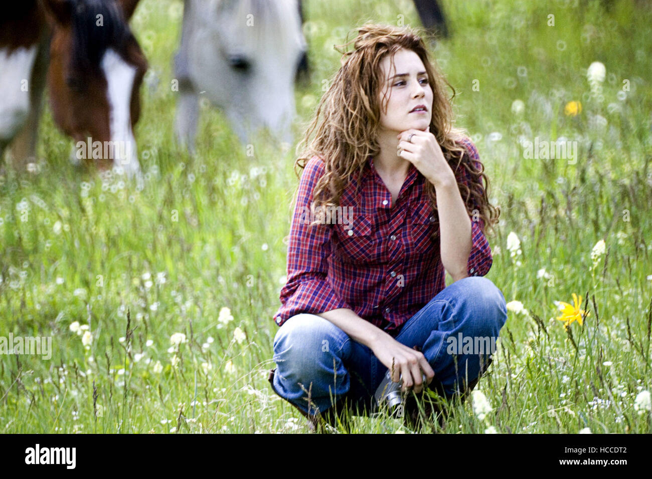 FLICKA, Alison Lohman, 2006. TM & Copyright (c) 20th Century Fox Film ...