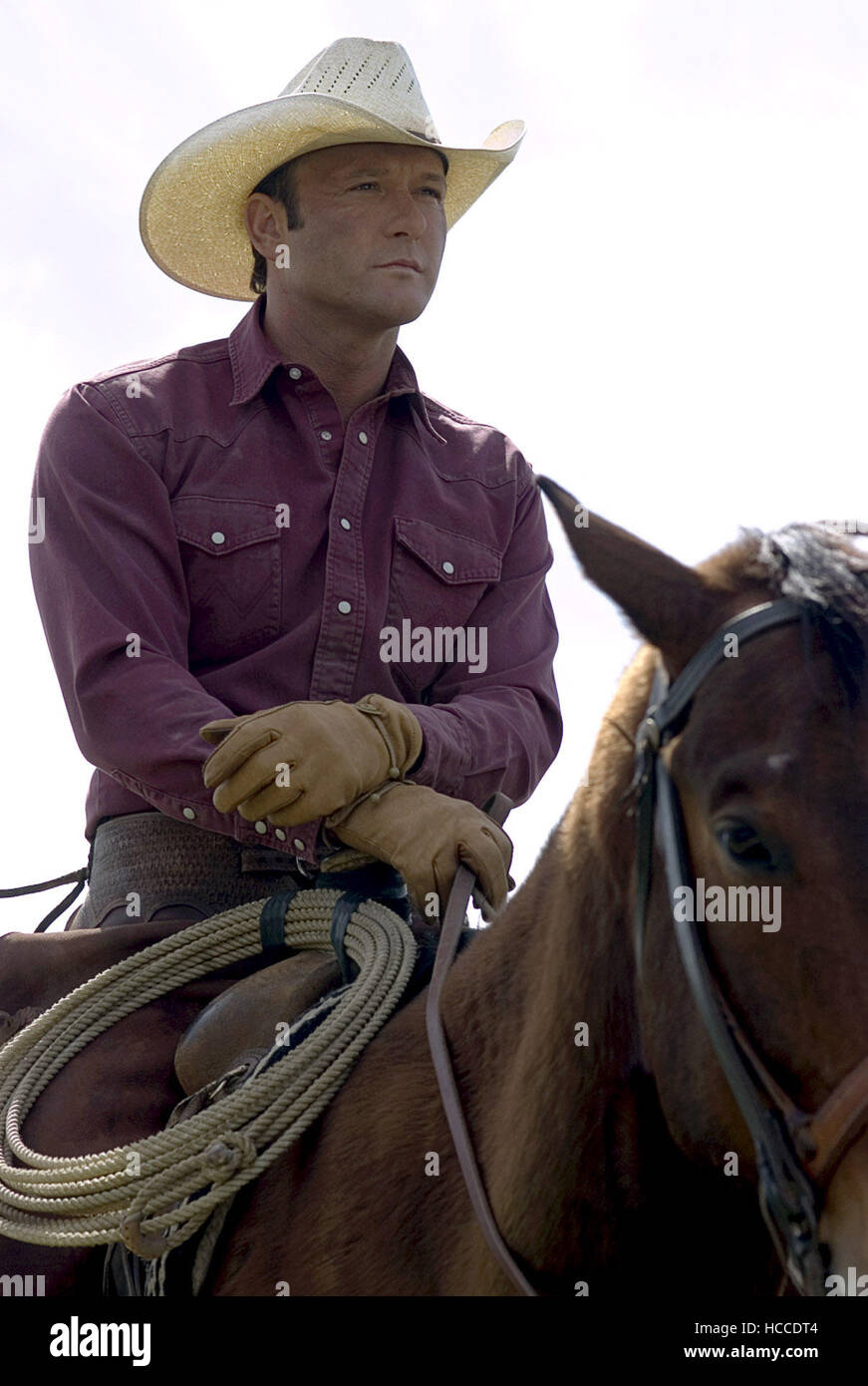 FLICKA, Tim McGraw, 2006. TM & Copyright (c) 20th Century Fox Film Corp ...