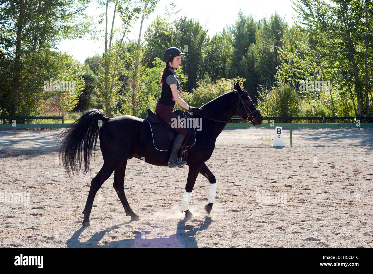FLICKA: COUNTRY PRIDE, Kacey Rohl, 2012. TM & ©20th Century Fox. All ...