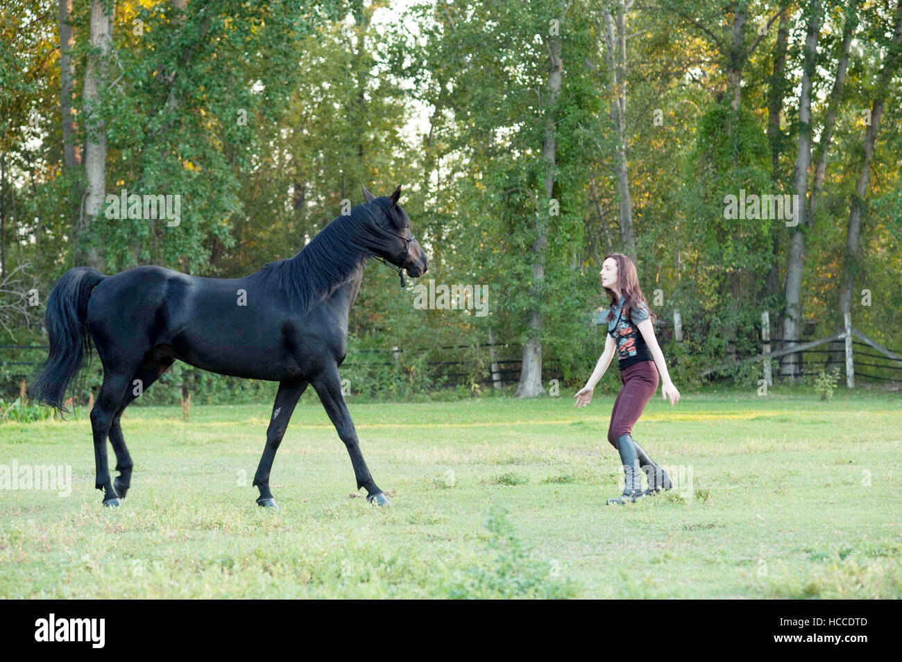 FLICKA: COUNTRY PRIDE, Kacey Rohl, 2012. TM & ©20th Century Fox. All ...
