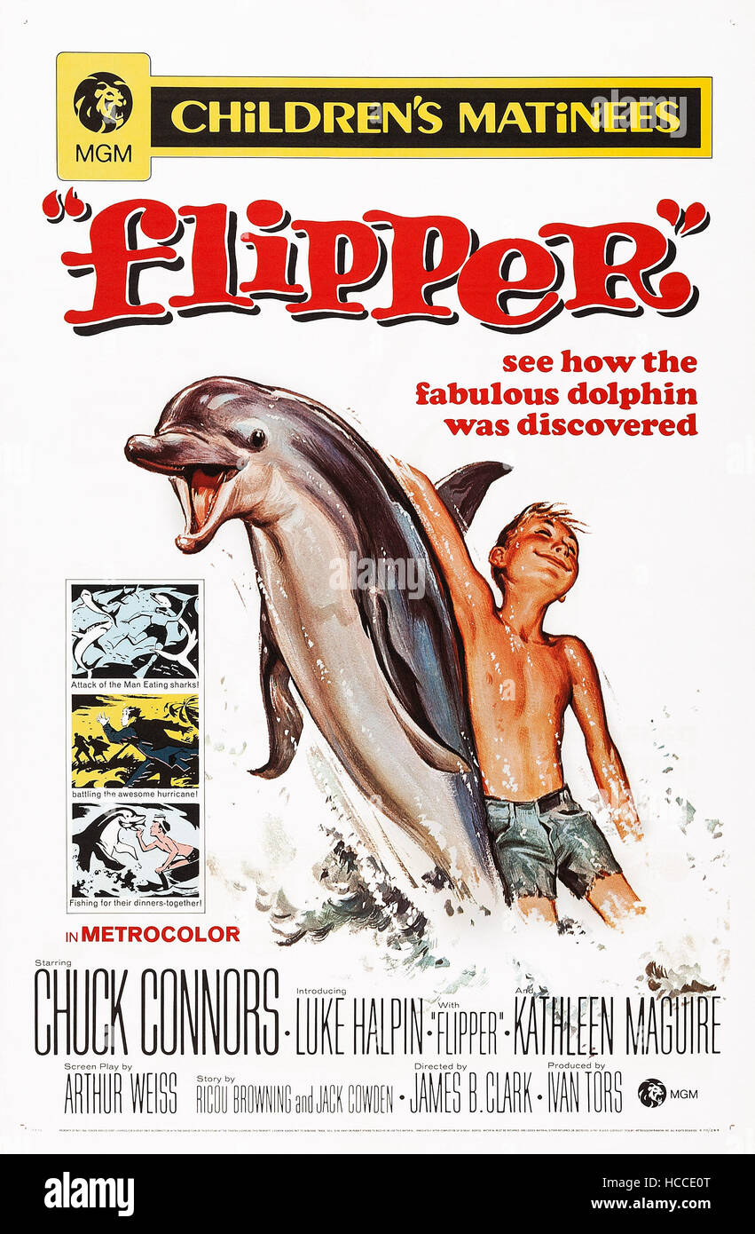 FLIPPER, US poster art, 1963 Stock Photo - Alamy