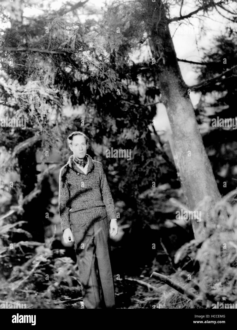 THE FORTY-NINTH PARALLEL, (aka THE INVADERS, aka 49TH PARALLEL), Leslie ...