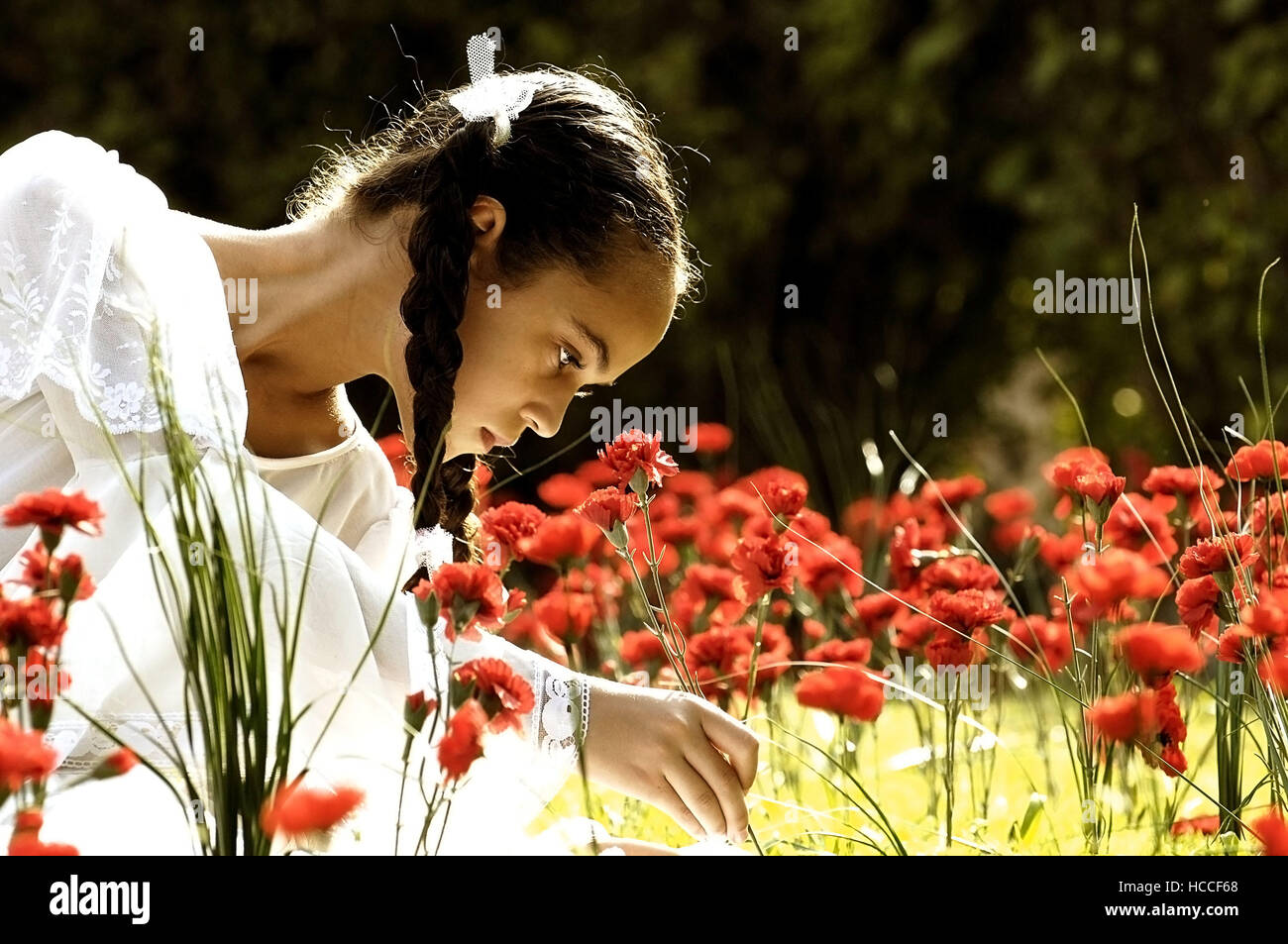 FORGIVENESS, Tamara Mansour, 2006 Stock Photo - Alamy