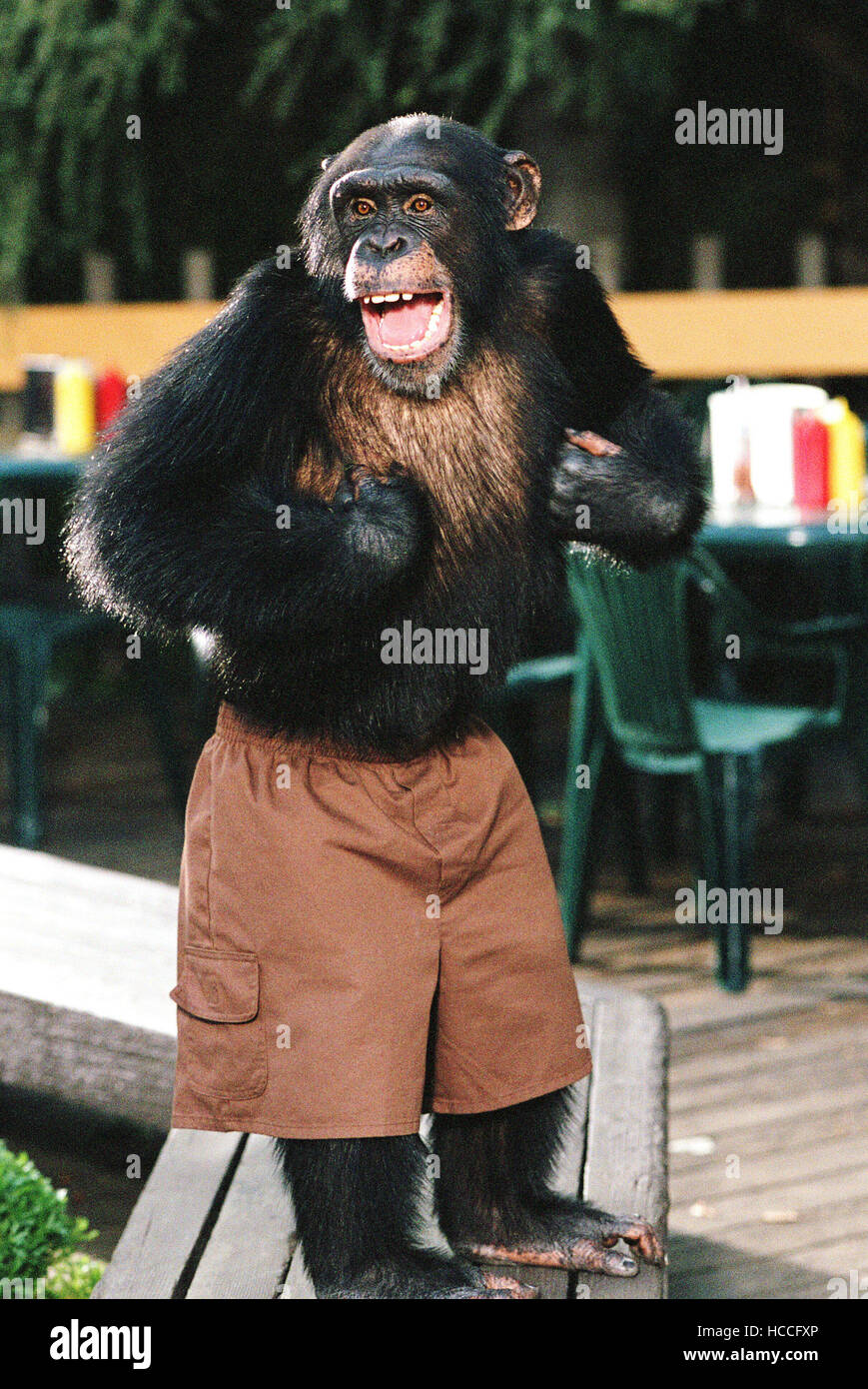 FUNKY MONKEY, 2004, © Warner Brothers/courtesy Everett Collection Stock ...