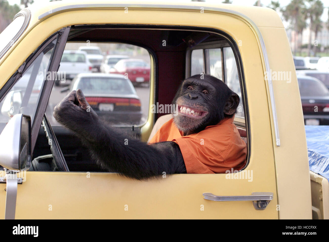 FUNKY MONKEY, 2004, © Warner Brothers/courtesy Everett Collection Stock ...