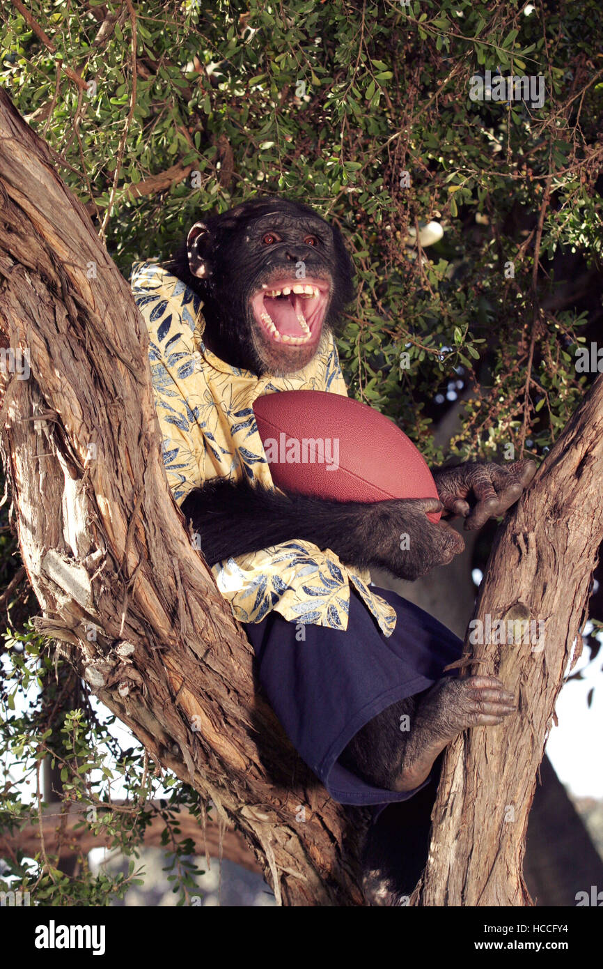 FUNKY MONKEY, 2004, © Warner Brothers/courtesy Everett Collection Stock ...