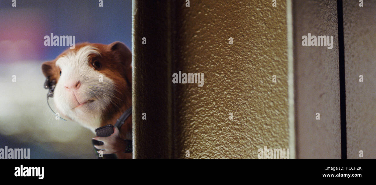 G-FORCE, Darwin (voice: Sam Rockwell), 2009. ©Walt Disney Co./Courtesy ...