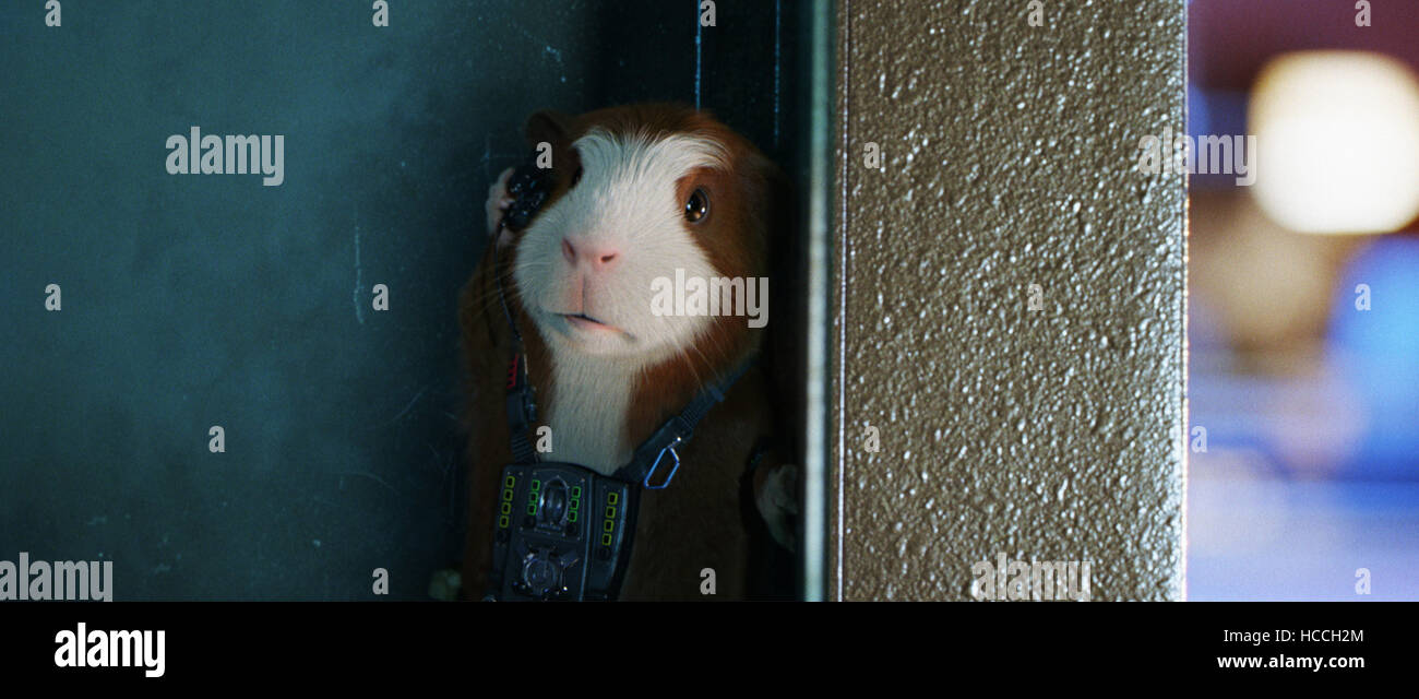 G-FORCE, Darwin (voice: Sam Rockwell), 2009. ©Walt Disney Co./Courtesy ...