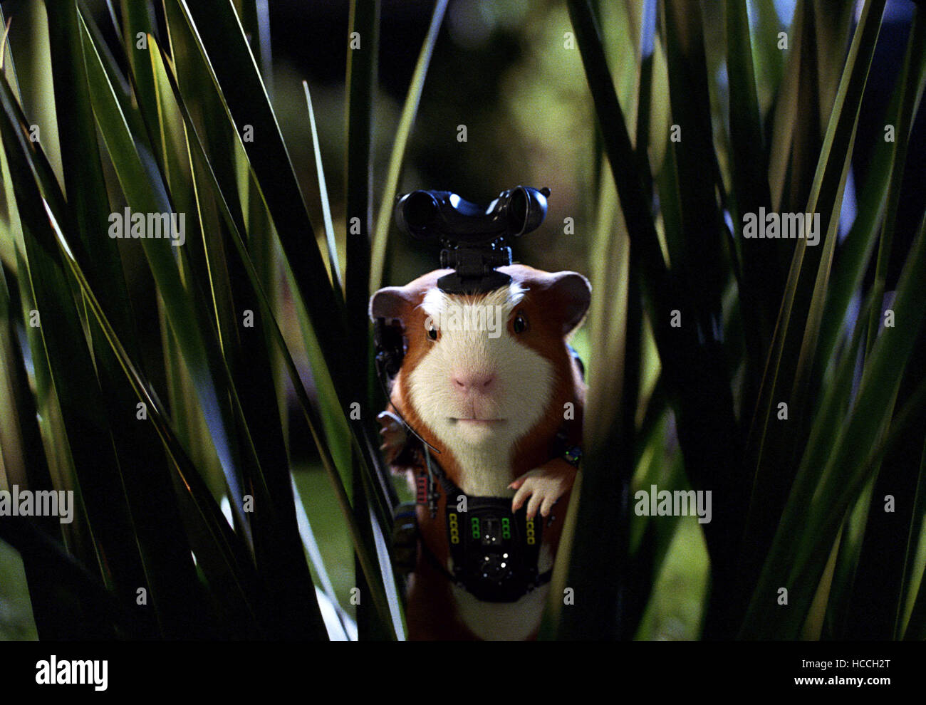 G-FORCE, 2009. ©Walt Disney Co./Courtesy Everett Collection Stock Photo ...
