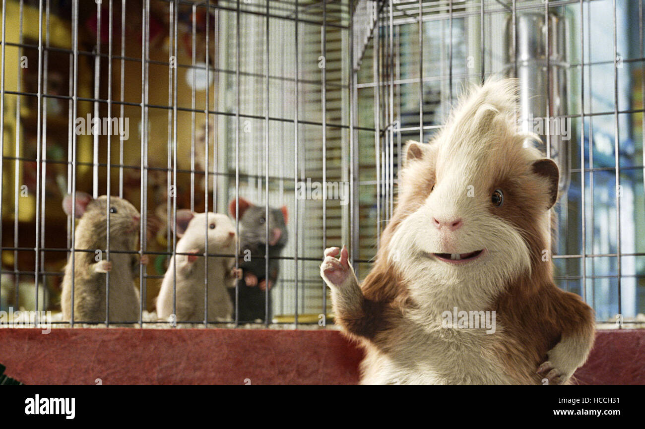 G-FORCE, 2009. ©Walt Disney Co./Courtesy Everett Collection Stock Photo ...