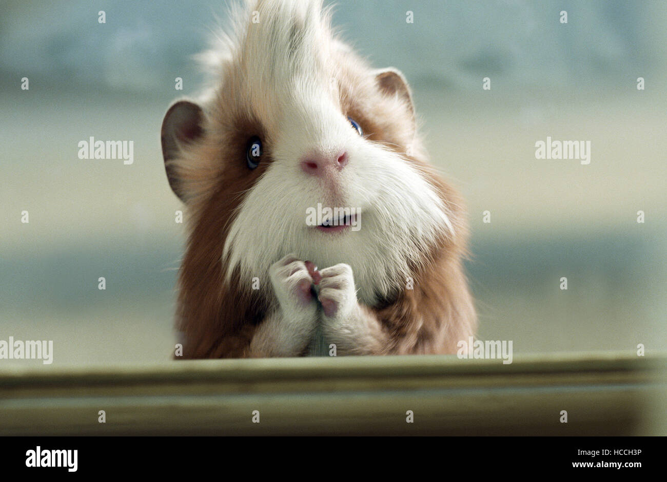 G-FORCE, Hurley (voice: Jon Favreau), 2009. ©Walt Disney Co./courtesy ...