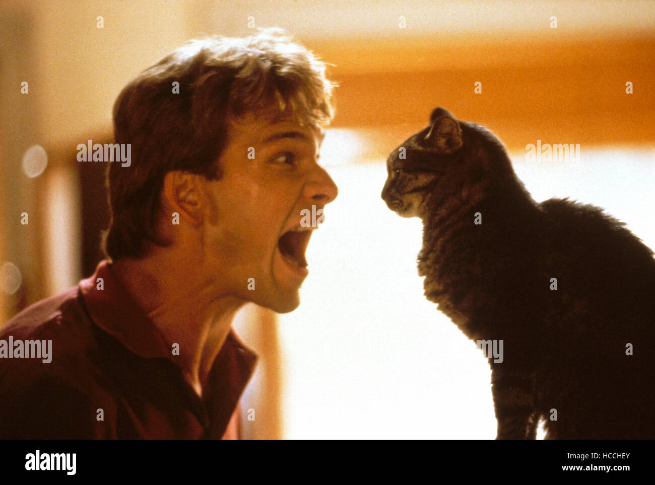 GHOST, Patrick Swayze, 1990, (c) Paramount/courtesy Everett Collection ...