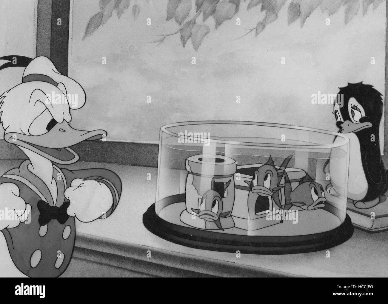 DONALD'S PENGUIN, Donald Duck (left), 1939 Stock Photo - Alamy