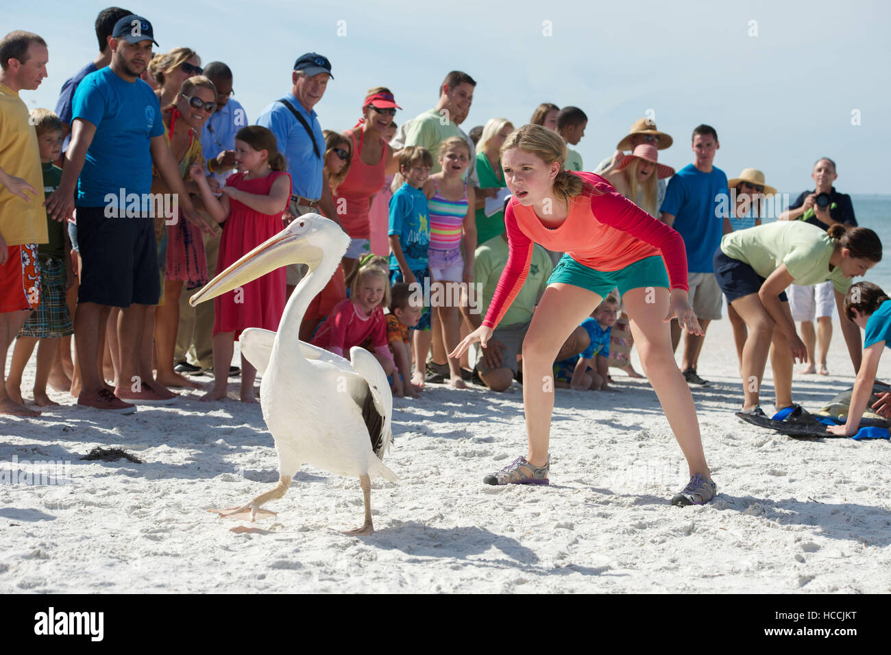 DOLPHIN TALE 2, Cozi Zuehlsdorff, 2014. ph: Wilson Webb/©Warner Bros ...
